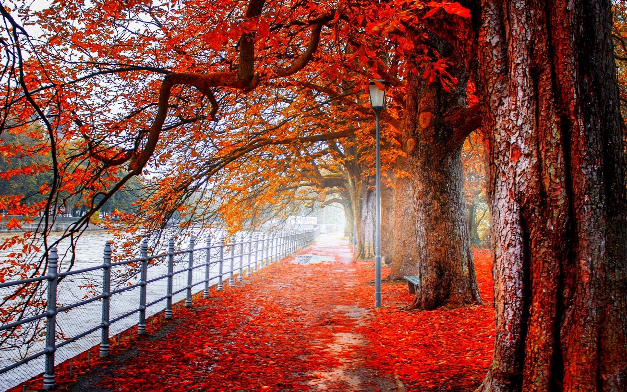 Nature 4k Ultra HD Wallpapers 4k Wallpaper Net Nature 4k Ultra HD Wallpapers 4k Wallpaper Net