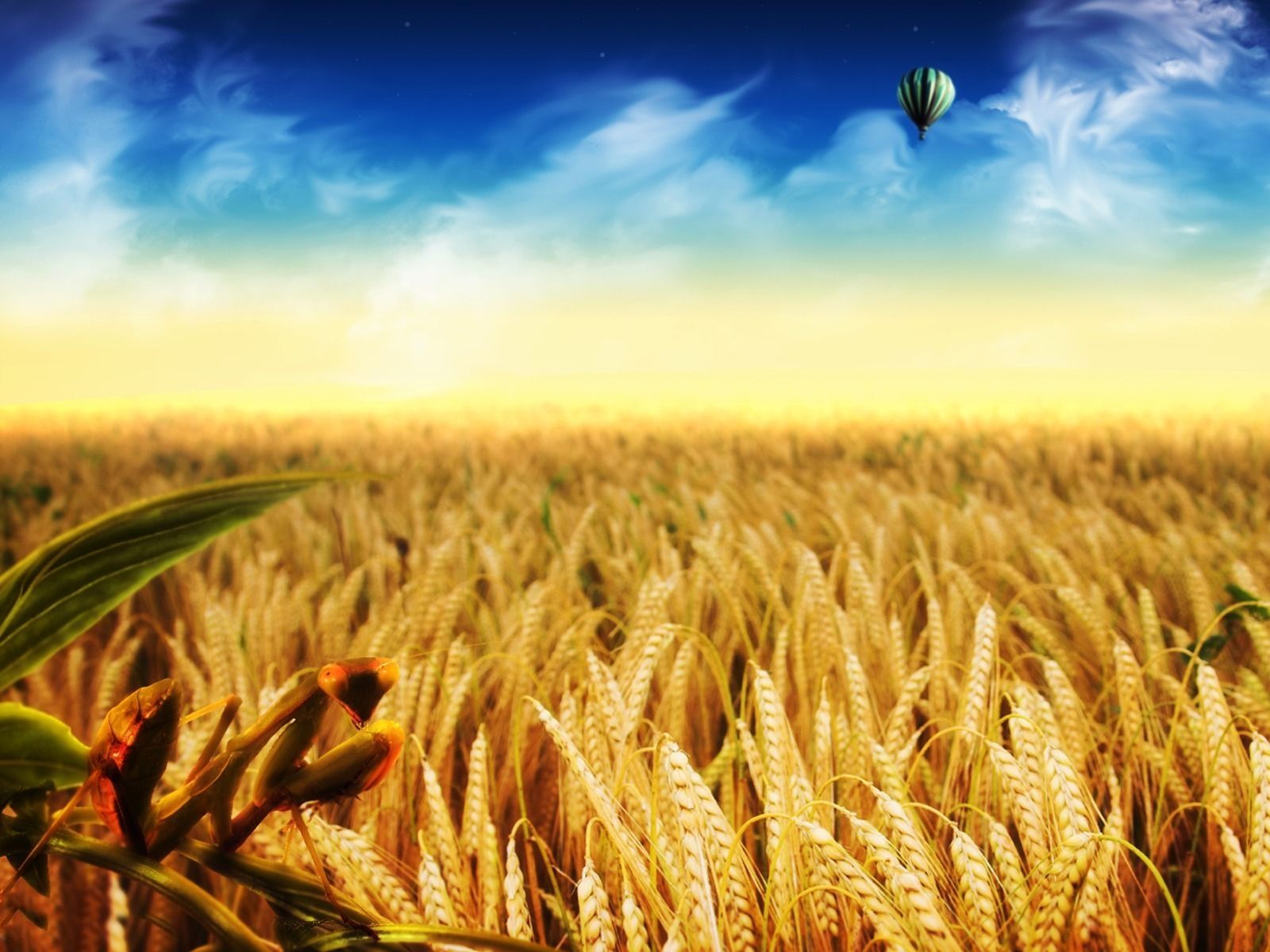 Windows7 Wallpaper 25 Crazy Art Ideas Windows7 Wallpaper 25 Crazy Art Ideas