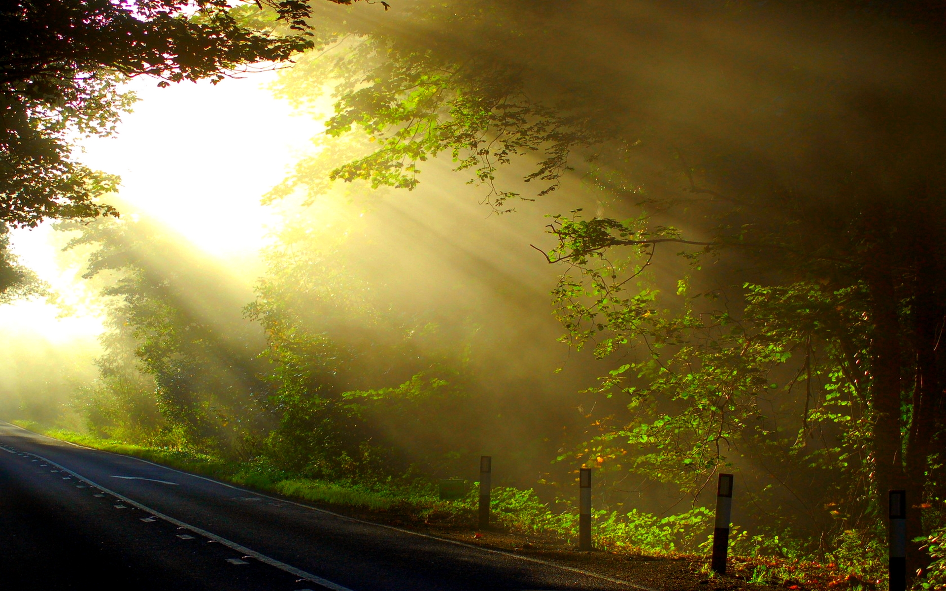 Sun Rays Picture Sun Rays Picture