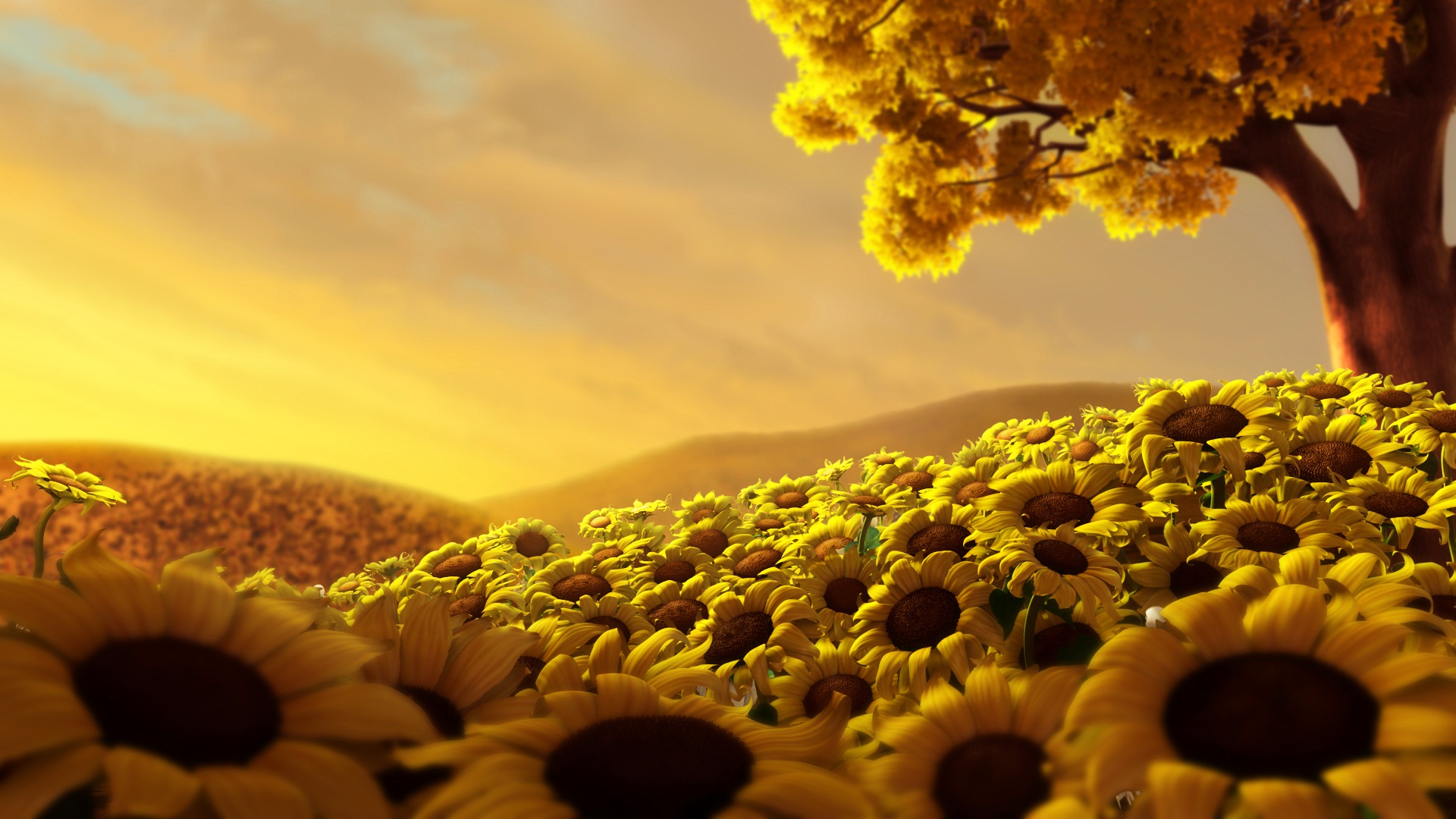 Sunflower Background Desktop Wallpaper Size 1920x1080 