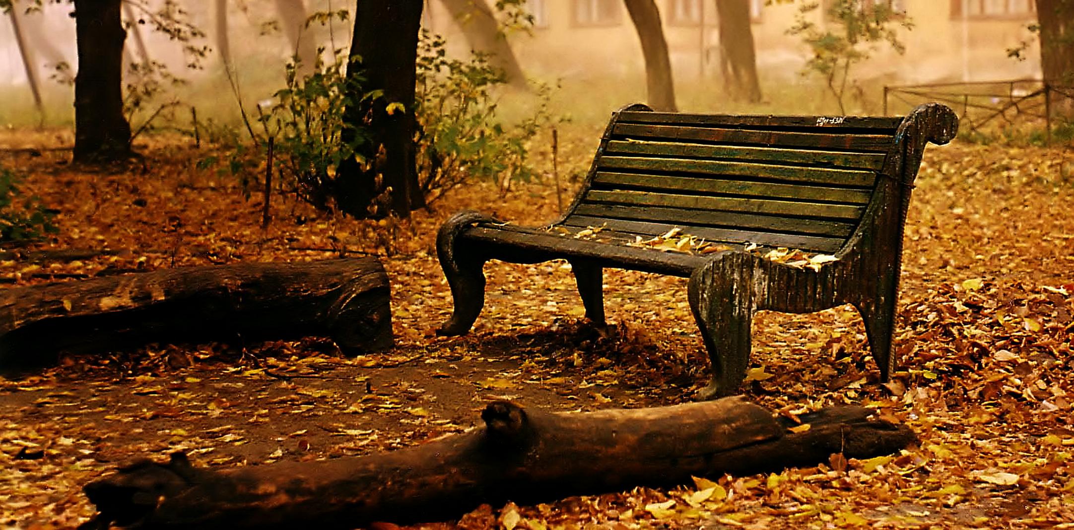 Fall High Definition Wallpapers Wallpaper Download HD Fall High Definition Wallpapers Wallpaper Download HD