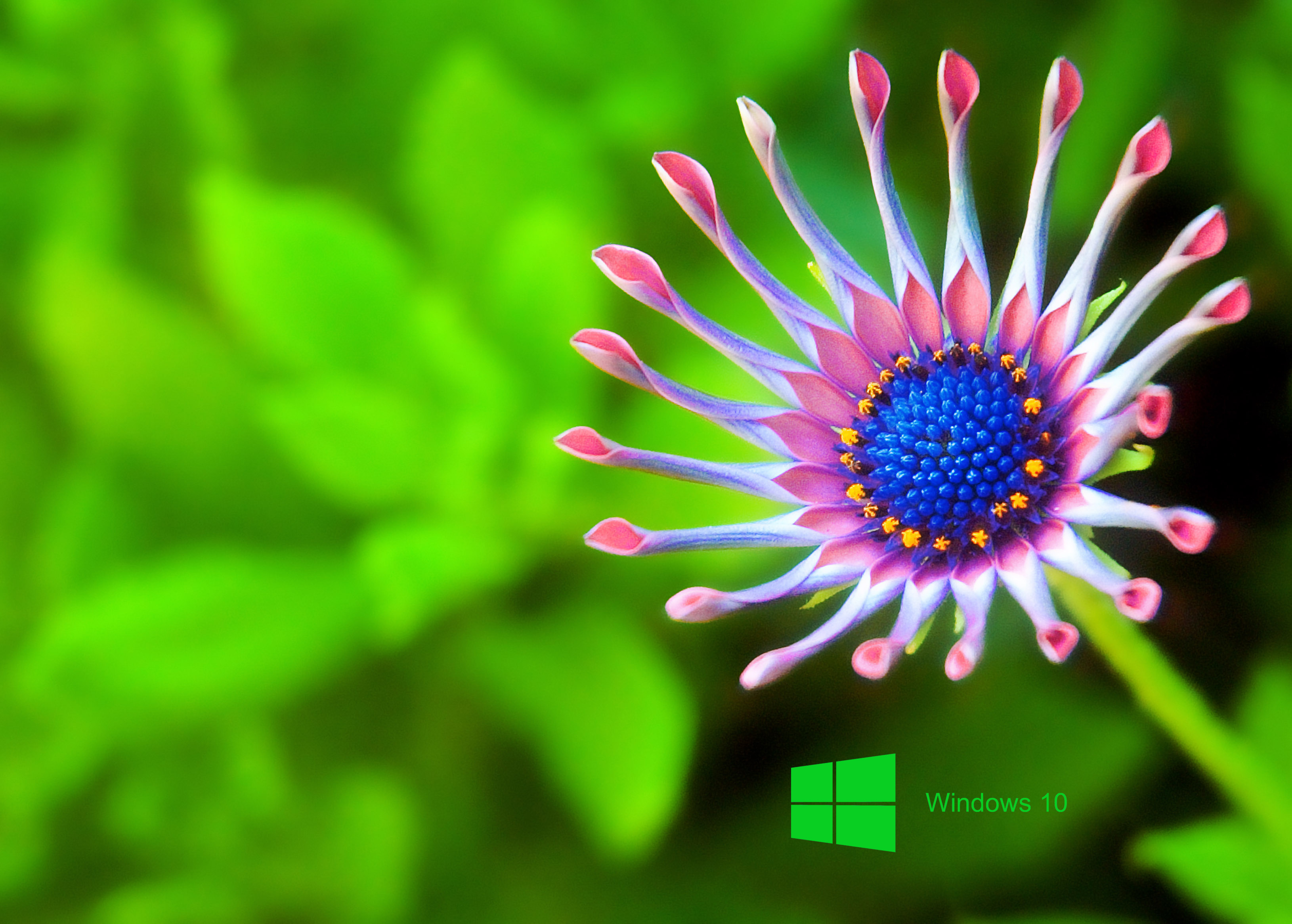 Windows 10 Desktop Image With 3d Art Black Hexagonal Wallpapers